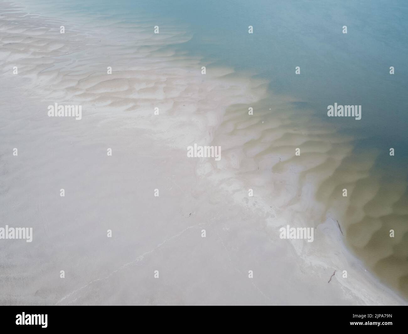 sandy bank of the Danube River near the city of Novi Sad, details ...