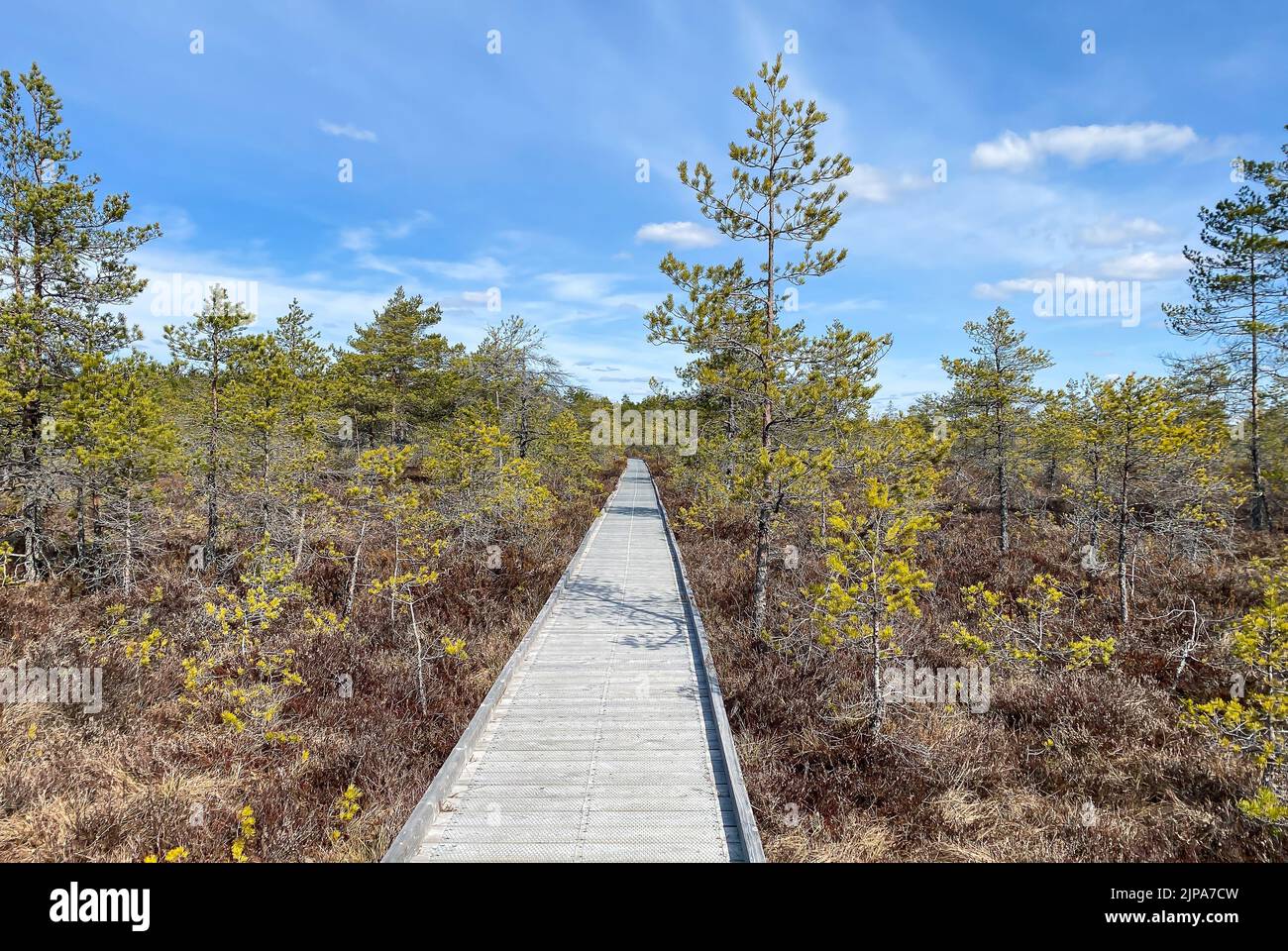 A wooden pole with an indicator of the direction and distance of a ...