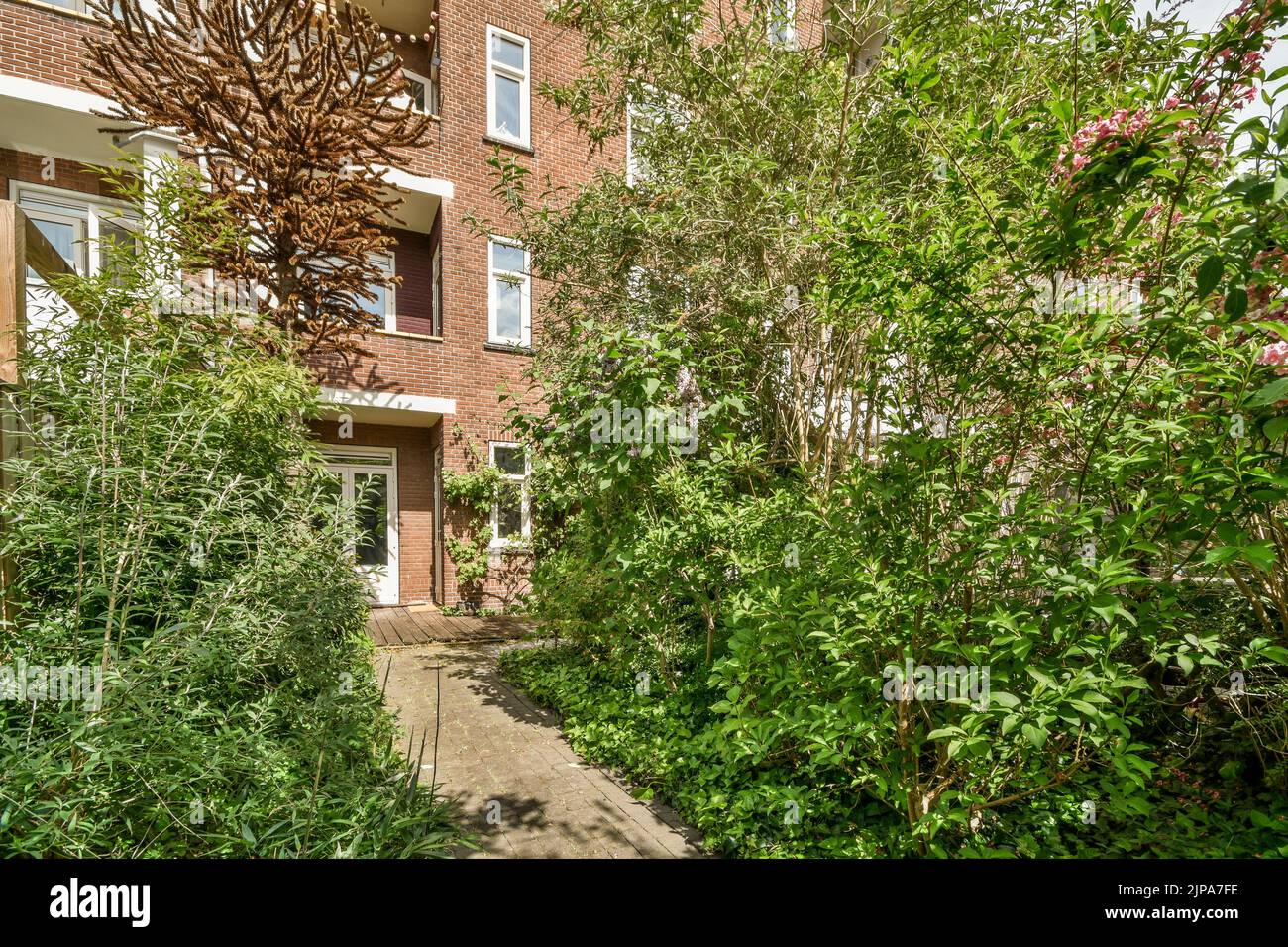 Simple small empty patio with snear wooden fence Stock Photo - Alamy