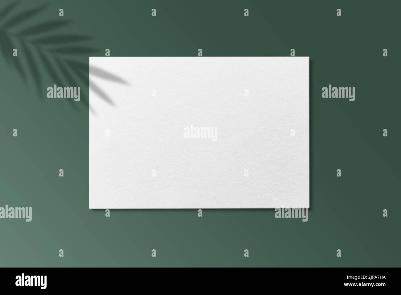 Square post leaves hi-res stock photography and images - Alamy