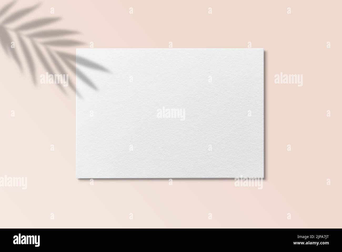 Square post leaves hi-res stock photography and images - Alamy