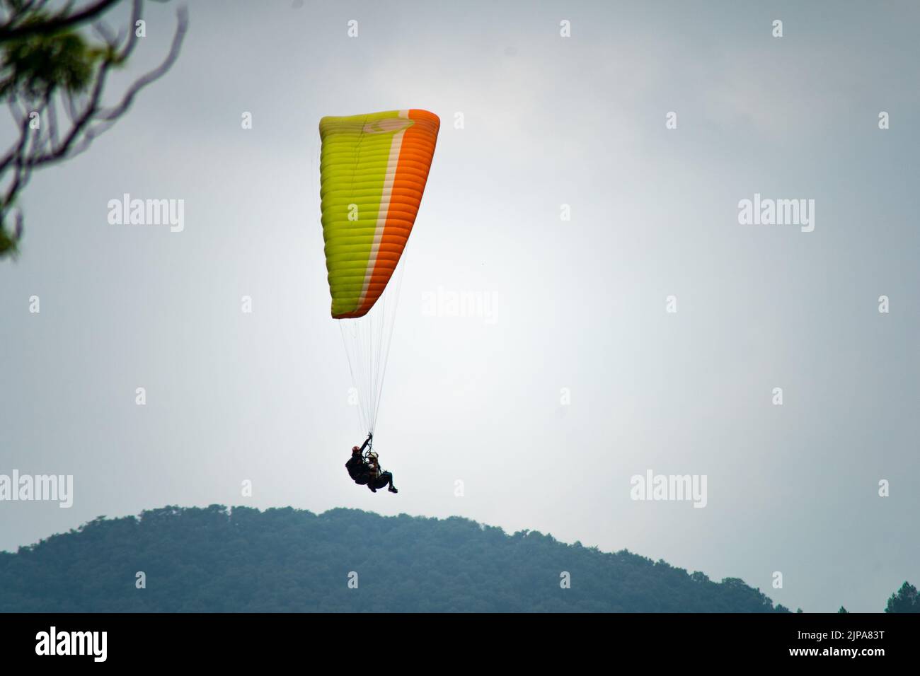 para gliding people with a bright orange yellow glider in the middle of ...