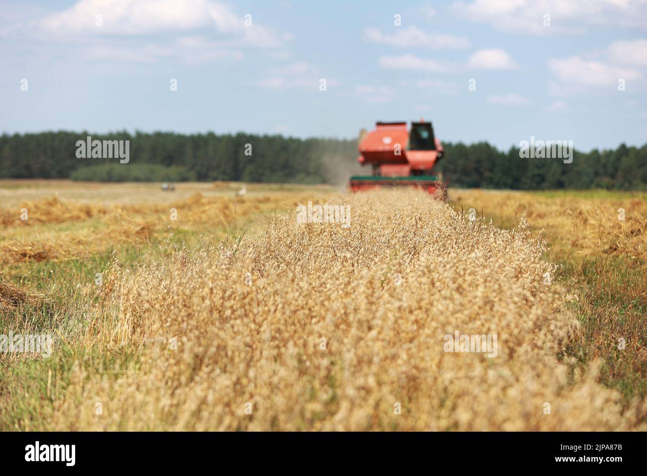 Farmers harvesting crop grains in africa hi-res stock photography and ...