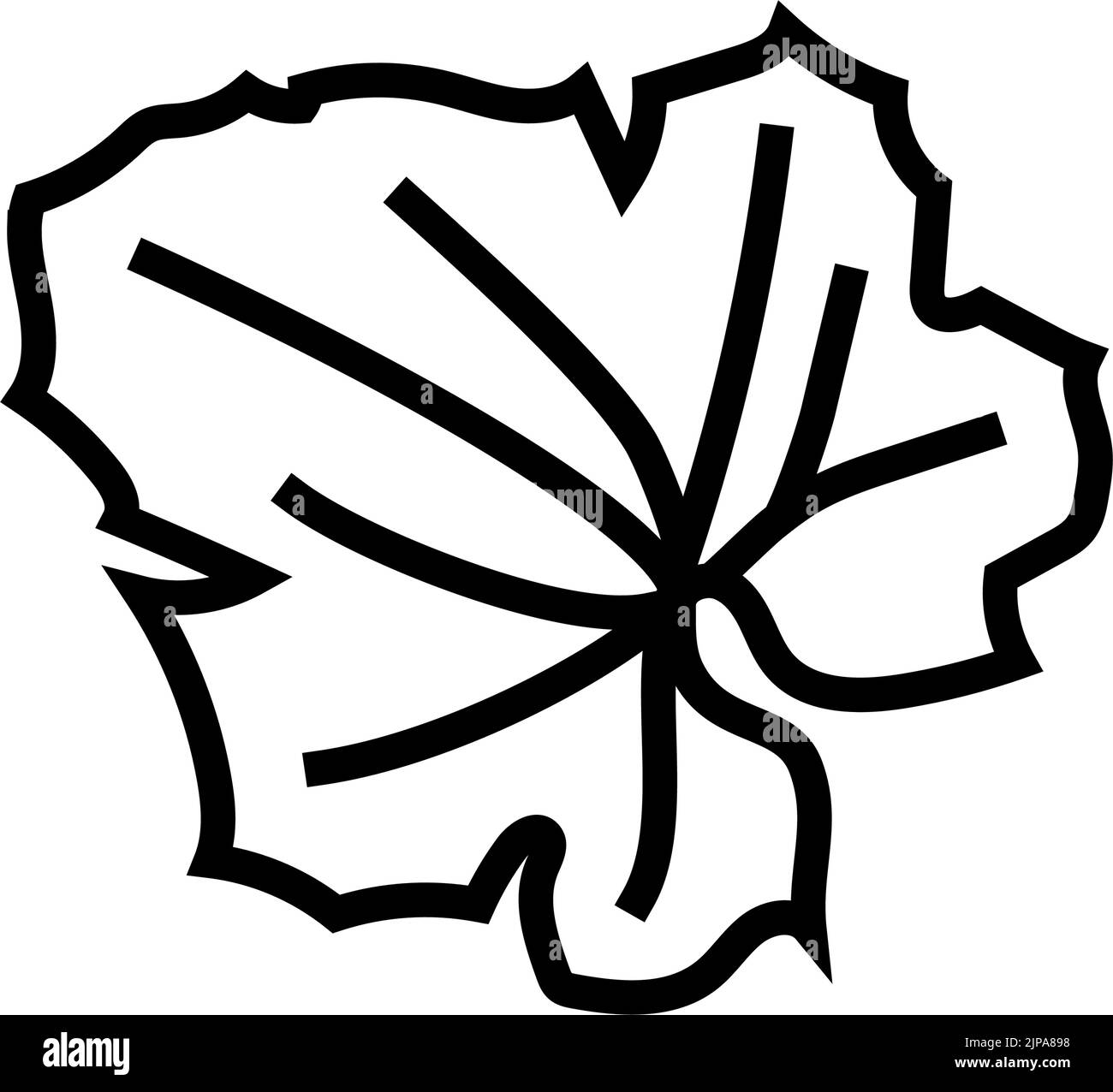 leaf melon cantaloupe line icon vector illustration Stock Vector Image ...