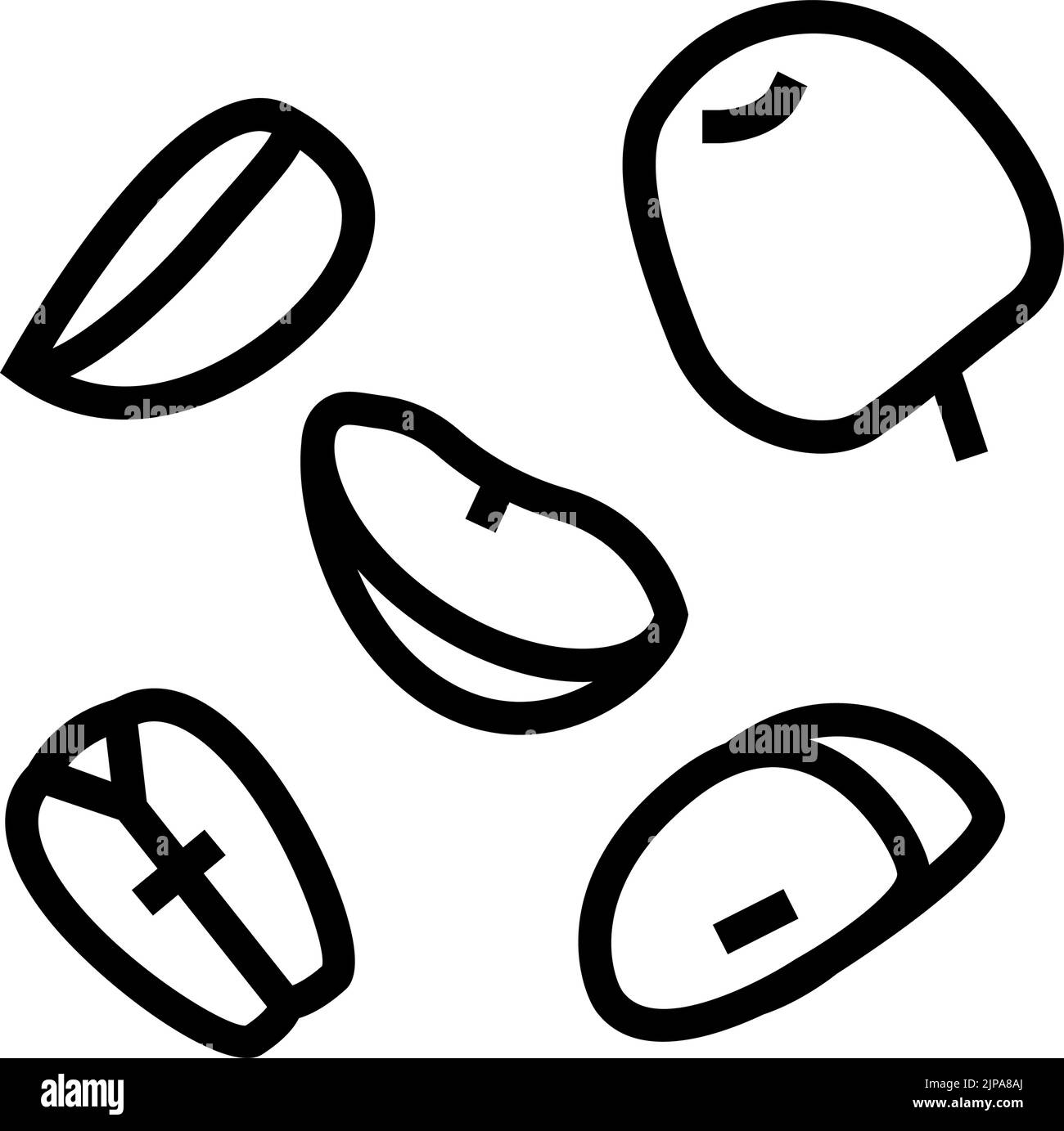 slice apple cut green line icon vector illustration Stock Vector Image ...