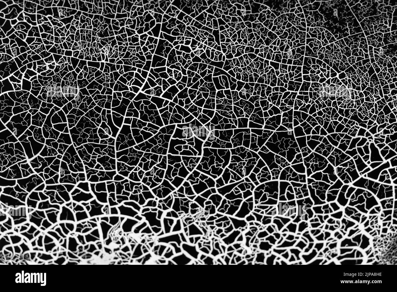 Abstract background of white tangled lines on a black surface. Graphic ...