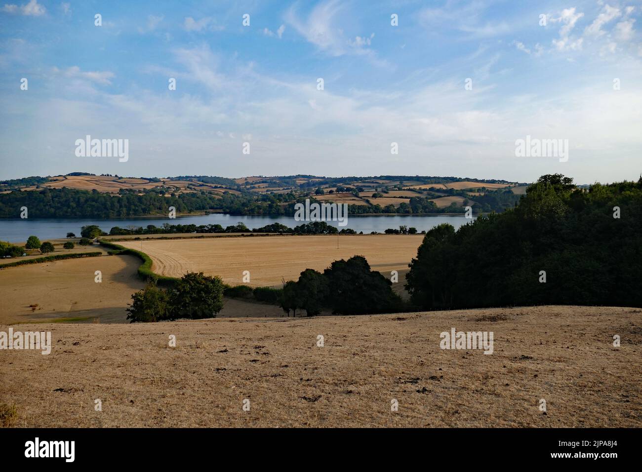 Summer 2022 showing parched fields due to lack of rain Stock Photo - Alamy