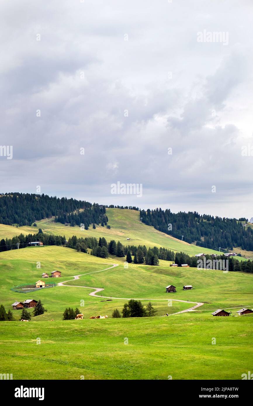 Italy, Trantino Alto Adige, Alpe di Siusi, Siusi alp Stock Photo - Alamy