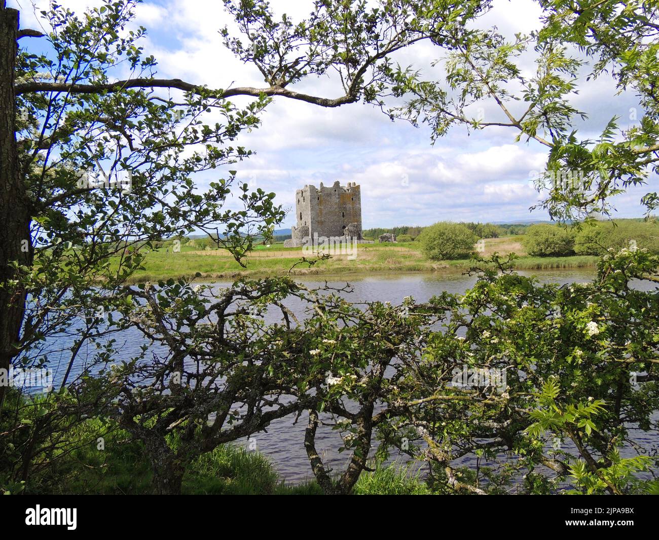A distant view of Threave Castle on the River Dee near Castle Douglas ...