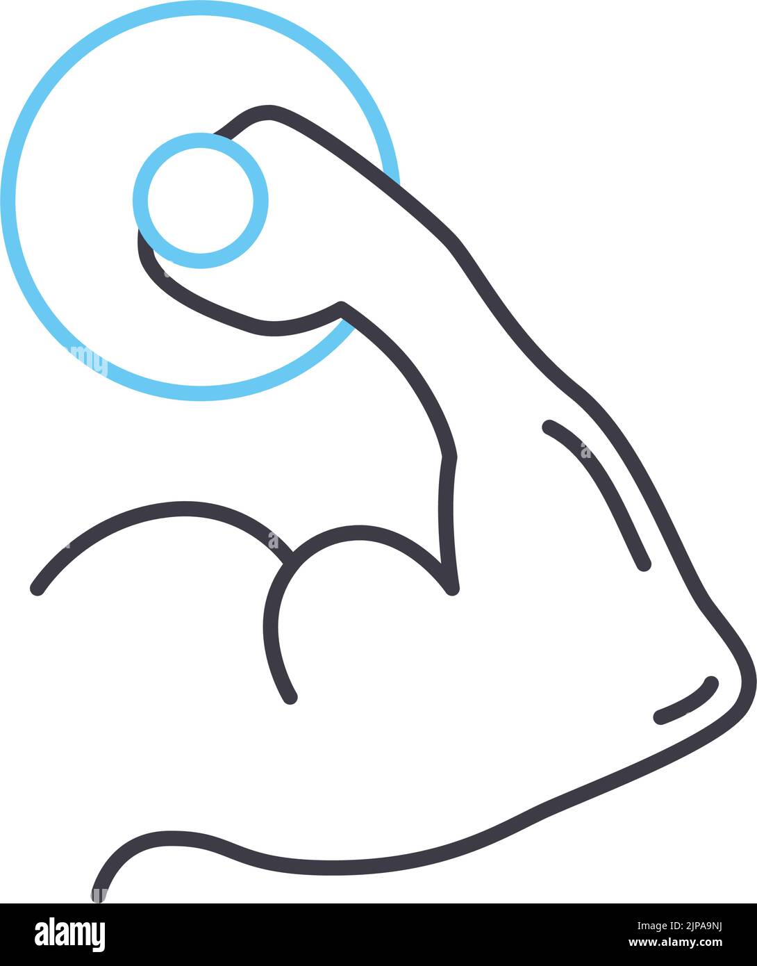 muscle growth training line icon, outline symbol, vector illustration ...