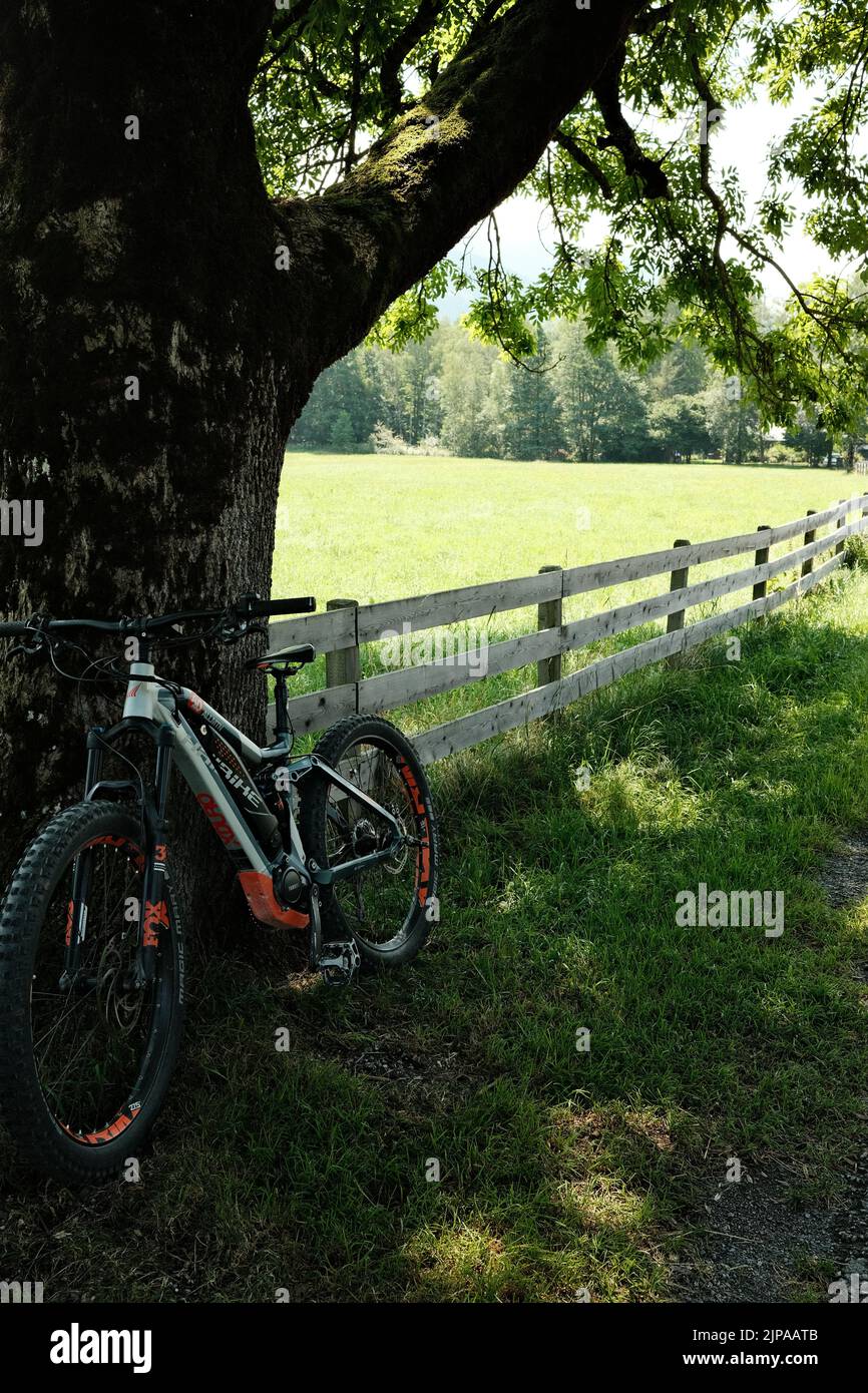 Bike leaning against tree hi-res stock photography and images - Alamy