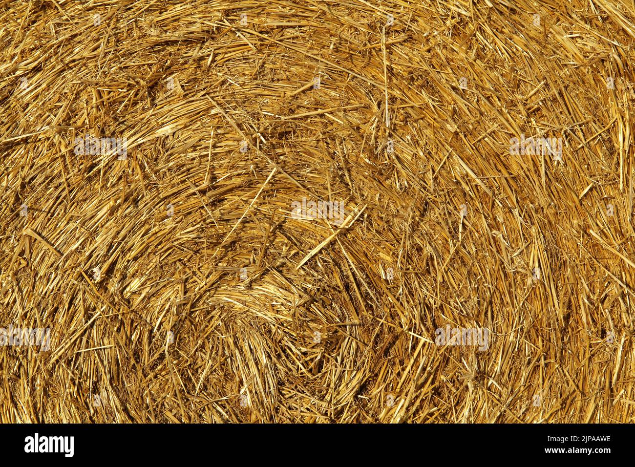 Ball of straw hi-res stock photography and images - Alamy