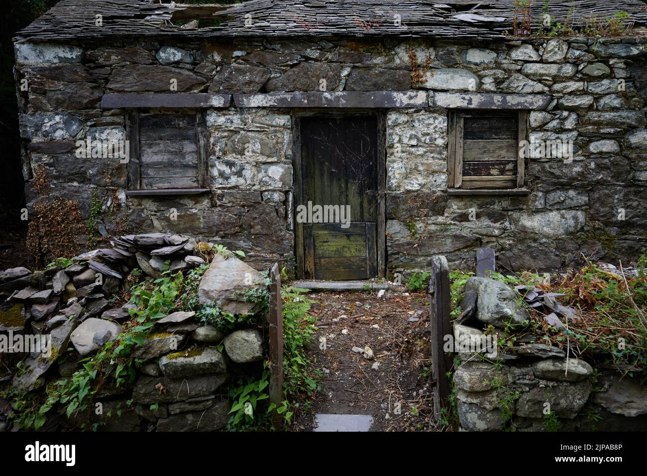 A derelict Welsh stone and slate roof cottage in the village of ...