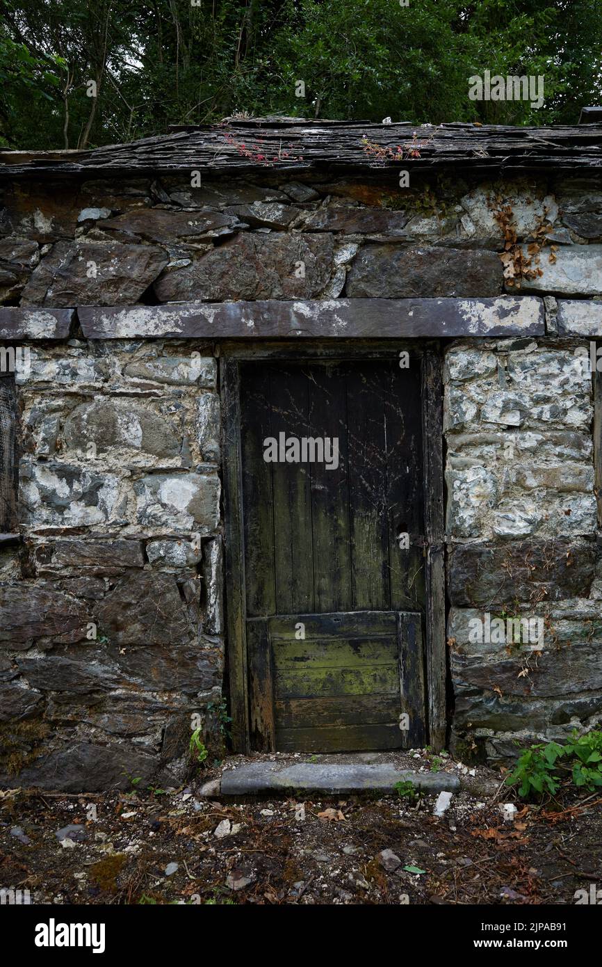 A derelict Welsh stone and slate roof cottage in the village of ...