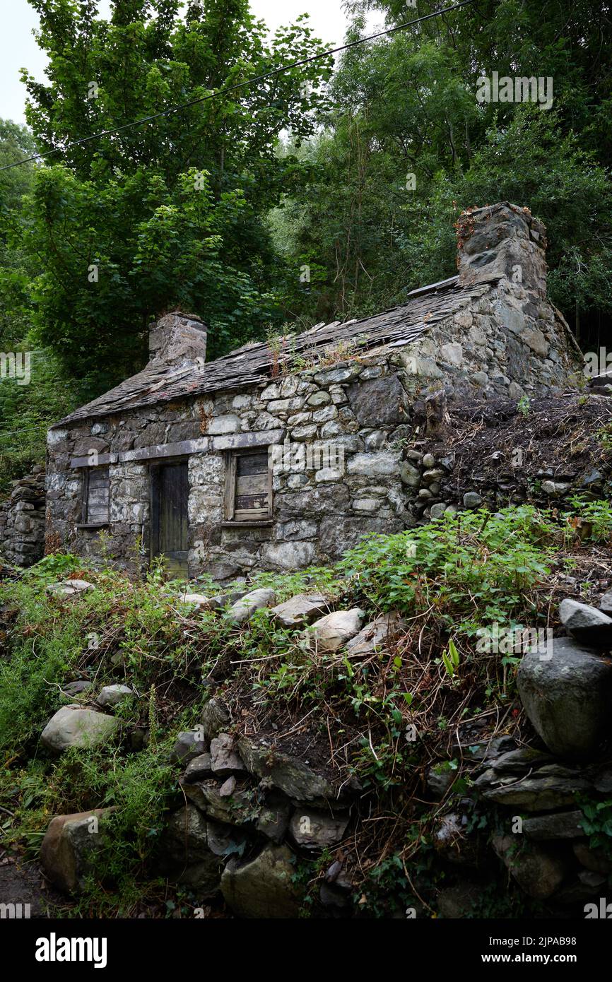 A derelict Welsh stone and slate roof cottage in the village of ...