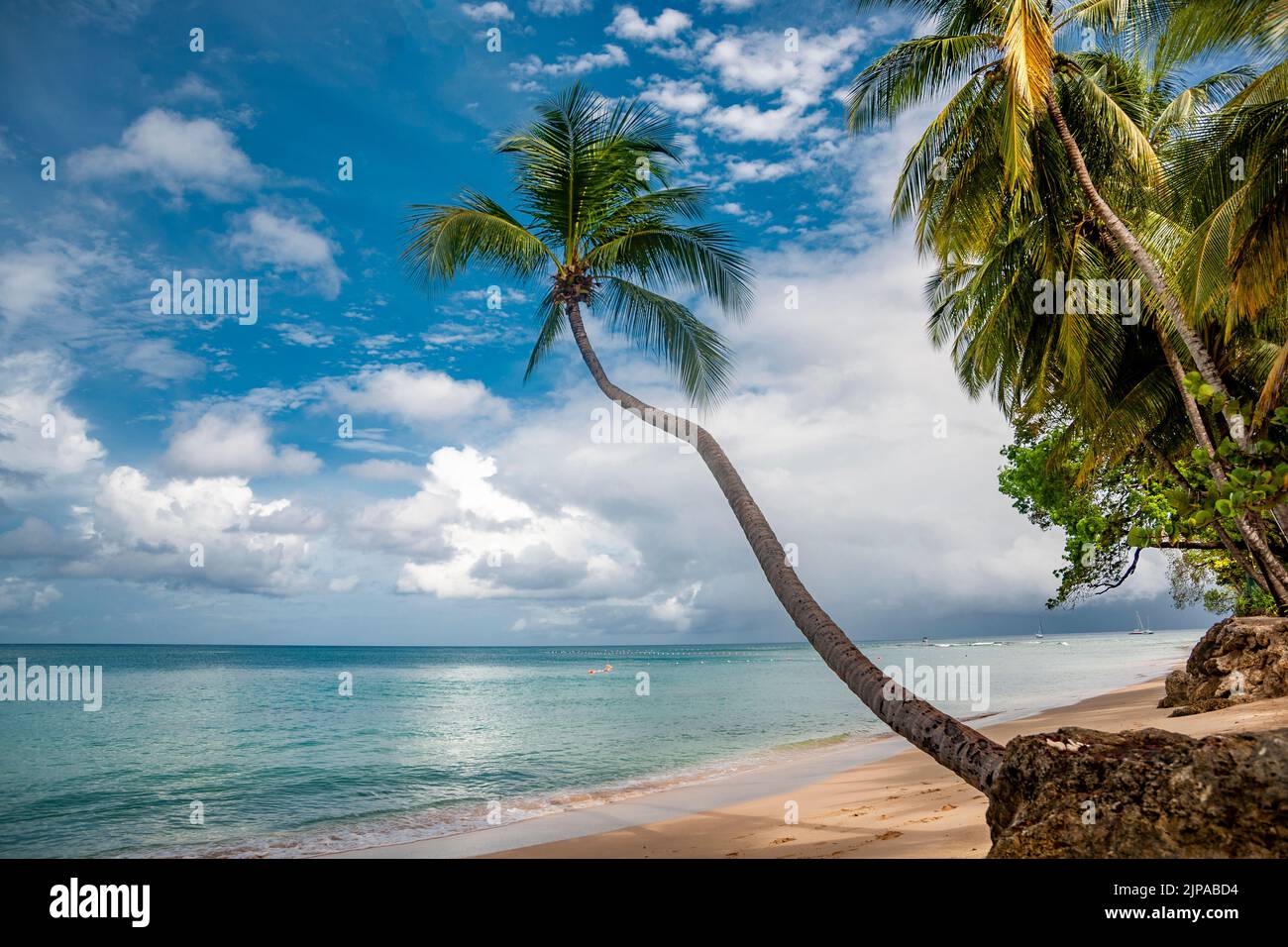 Beach of Holetown, St. Thomas Perish, Barbados ,Caribbean Stock Photo ...