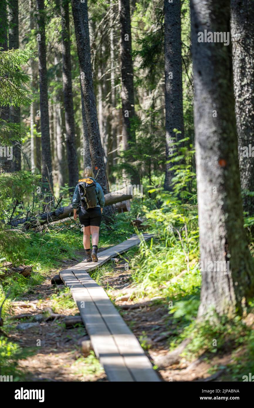 Walking women woods smiling hi-res stock photography and images - Alamy