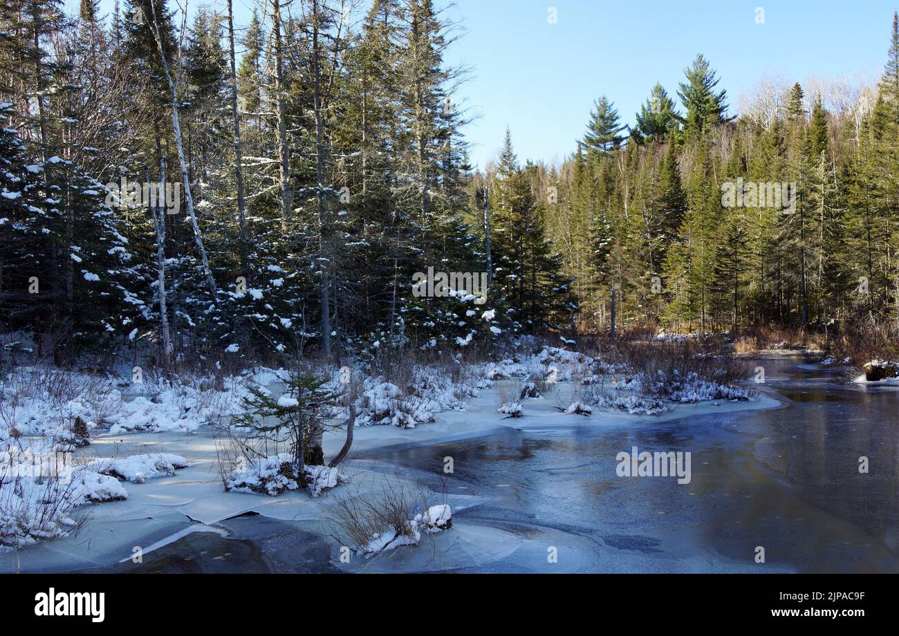 Frozen river of the boreal forest panorama Quebec Canada Stock Photo ...
