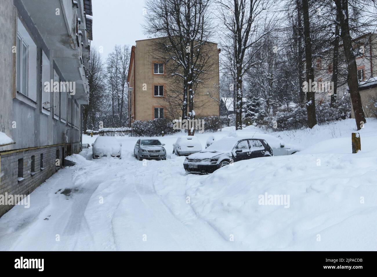 A cars totally covered with snow during the heavy blizzard in Rabka ...