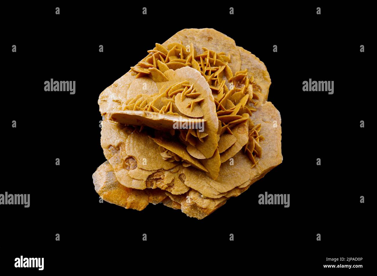 Crystal rose sculpture hi-res stock photography and images - Alamy