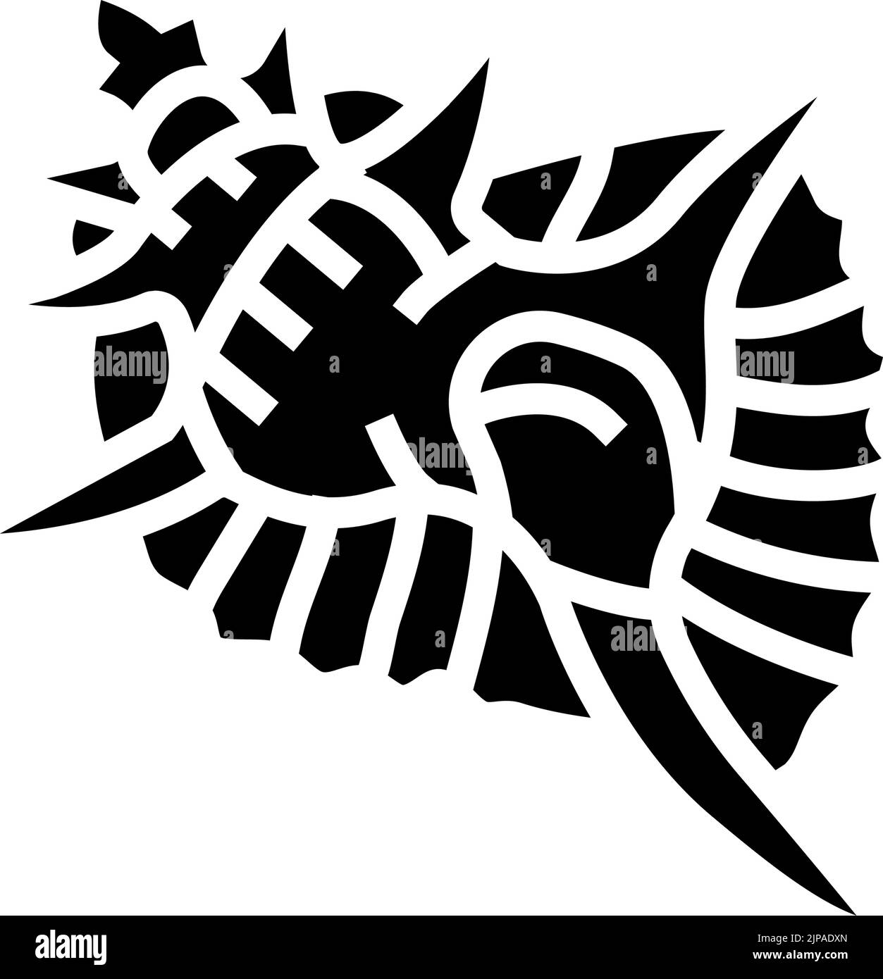 murex sea shell beach glyph icon vector illustration Stock Vector Image ...