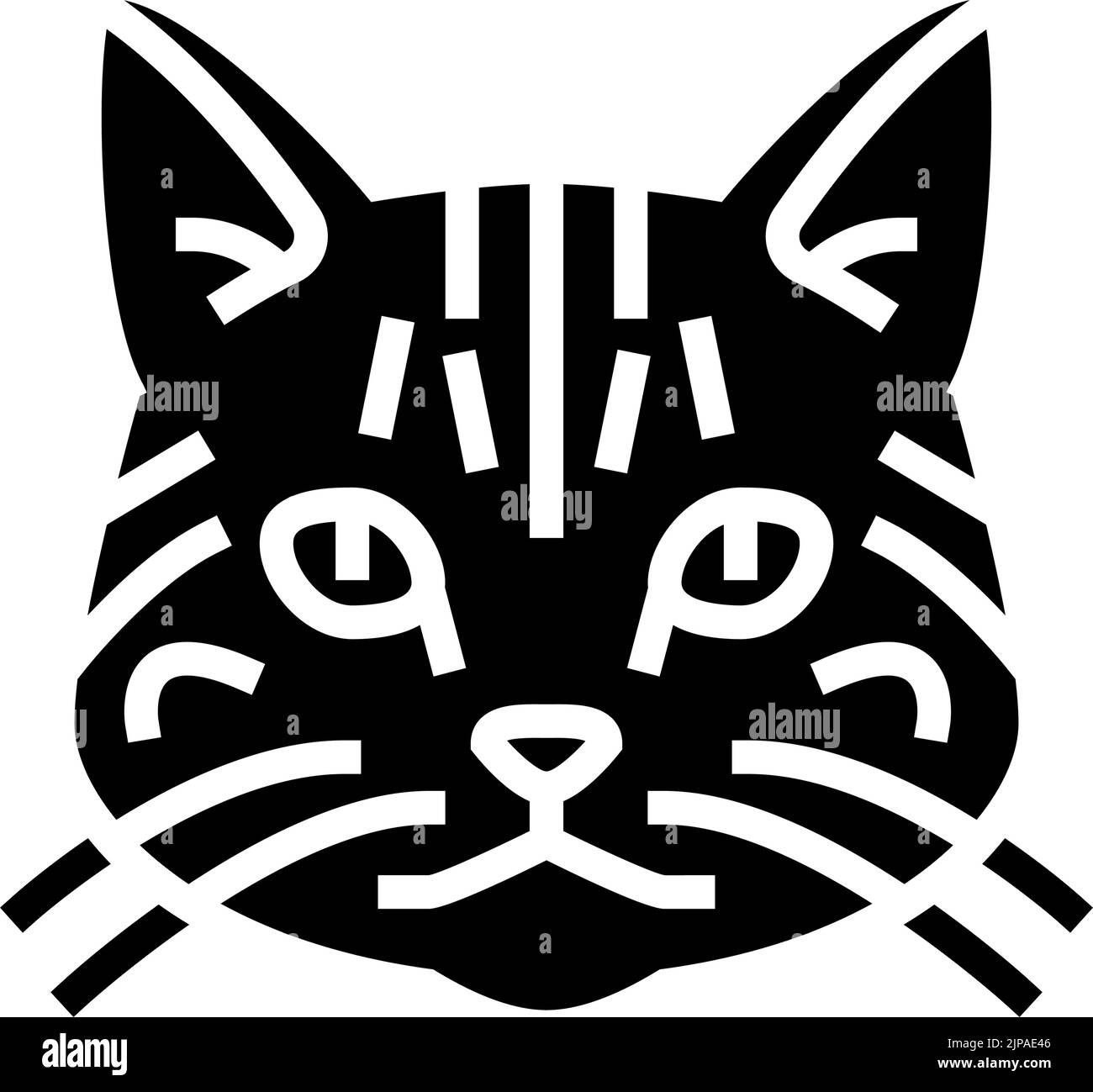 american shorthair cat cute pet glyph icon vector illustration Stock ...