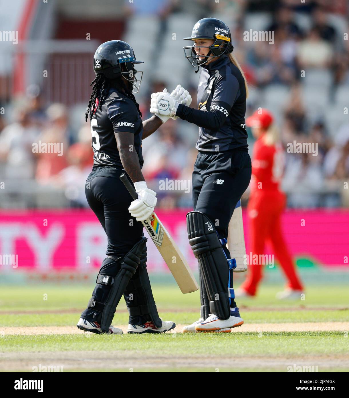 Dottins hi-res stock photography and images - Alamy