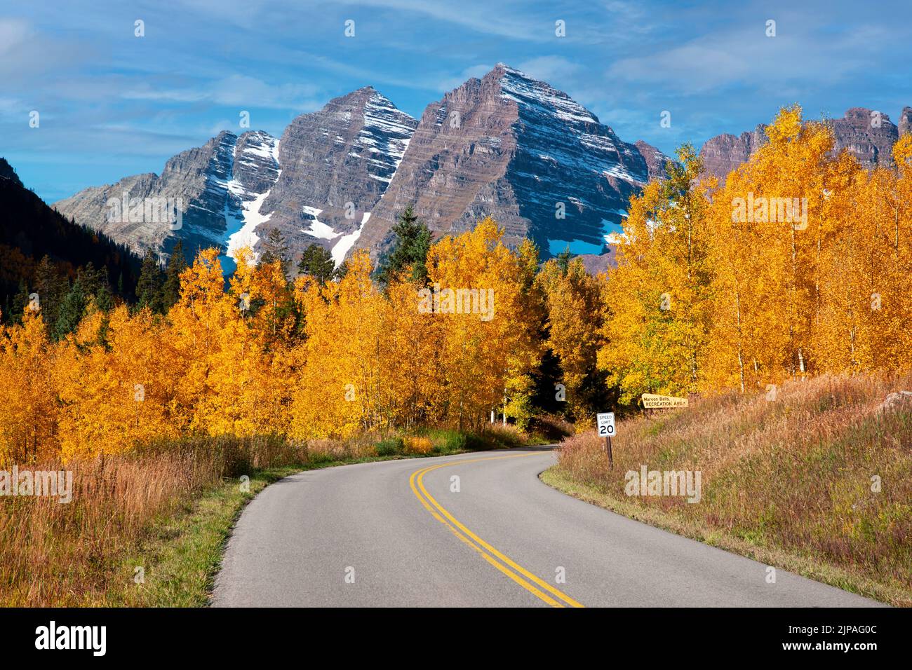 Aspen Trees in Fall,Aspen Colorado Stock Photo - Alamy