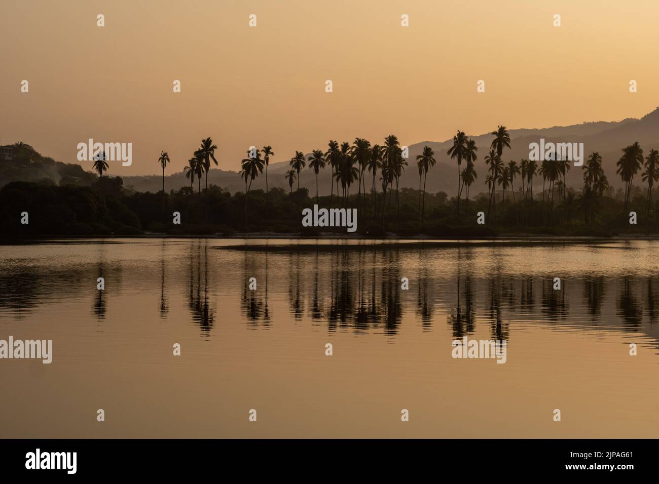 Palm trees on the shore at sunset, on Laguna de Coyuca (Coyuca lagoon ...