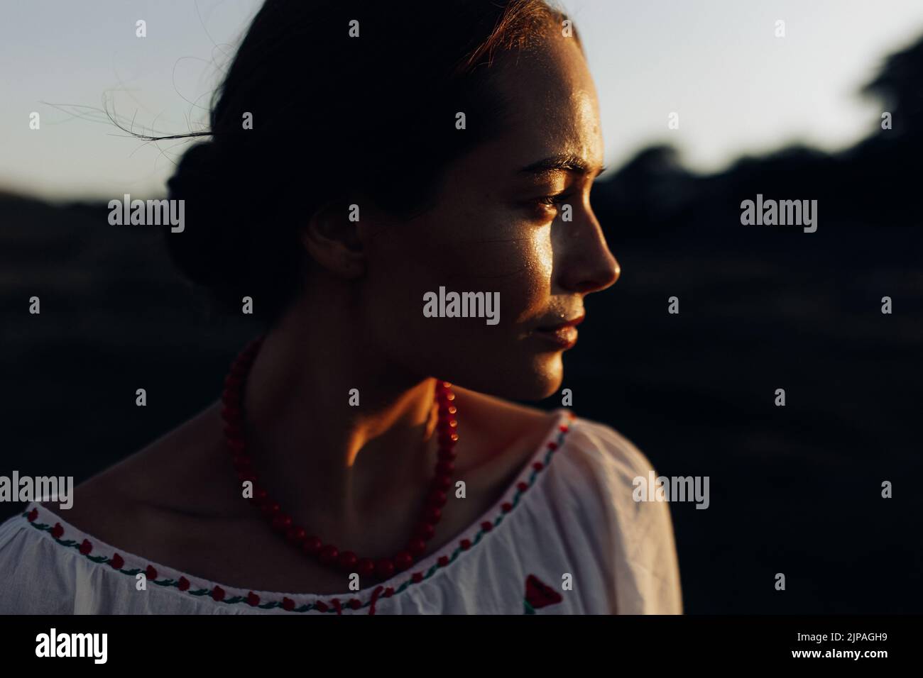 Portrait of young Ukrainian sunlit woman in traditional national ...