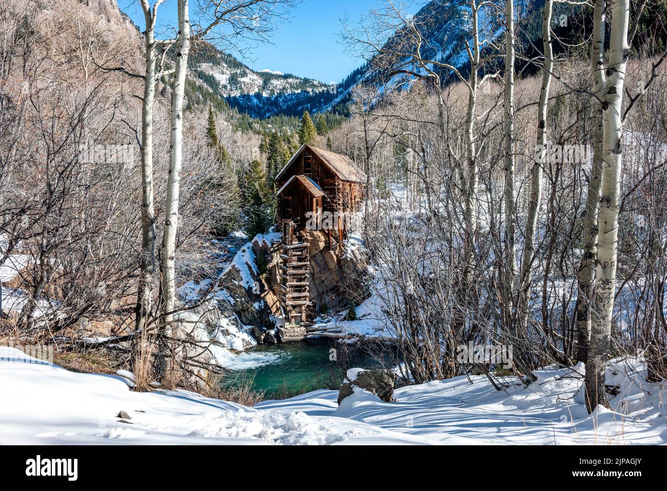 Aspen colorado winter snow trees hi-res stock photography and images ...