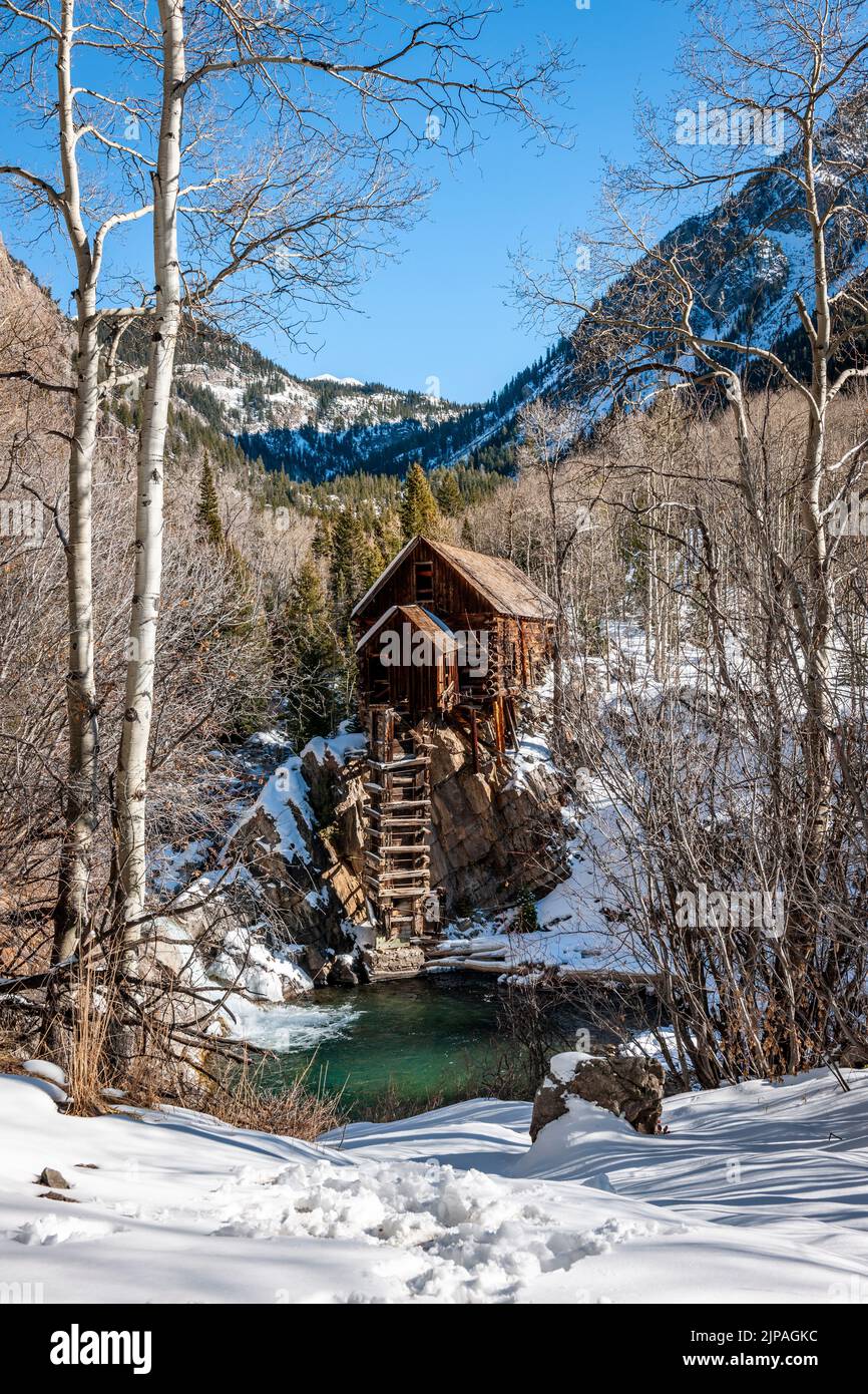 Aspen colorado winter snow trees hi-res stock photography and images ...