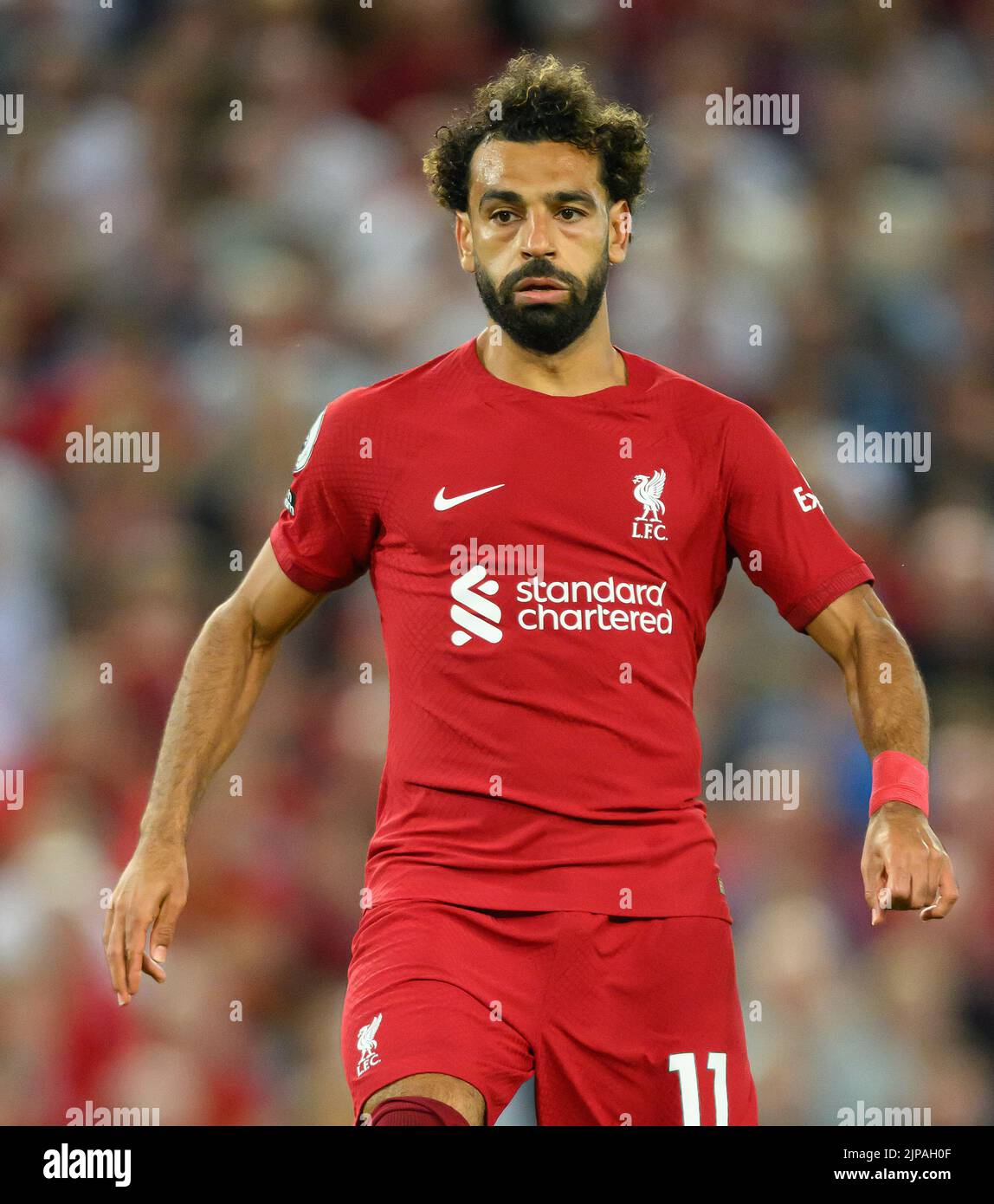 15 aug 2022 liverpool hi-res stock photography and images - Alamy