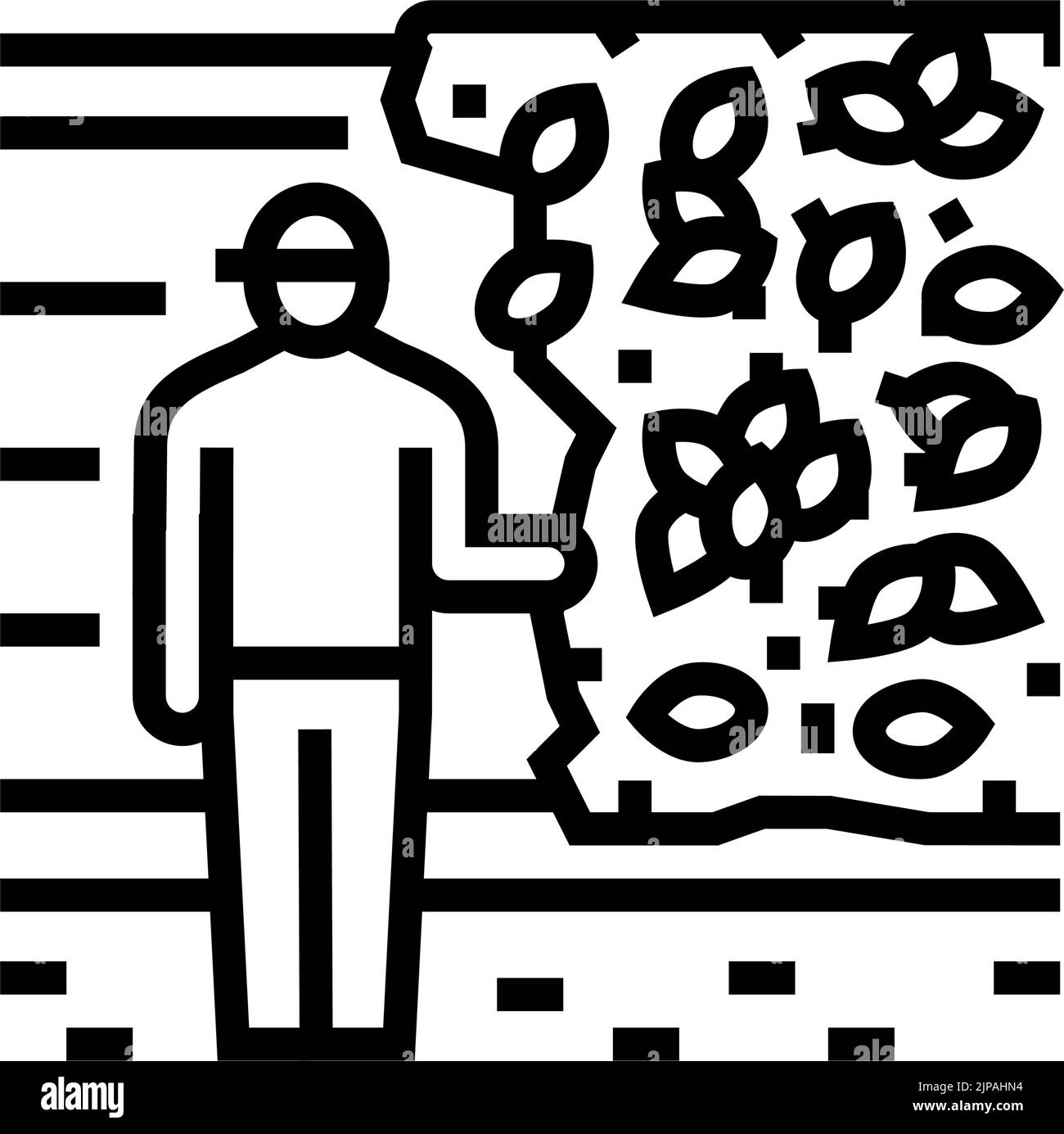 living walls installation line icon vector illustration Stock Vector ...