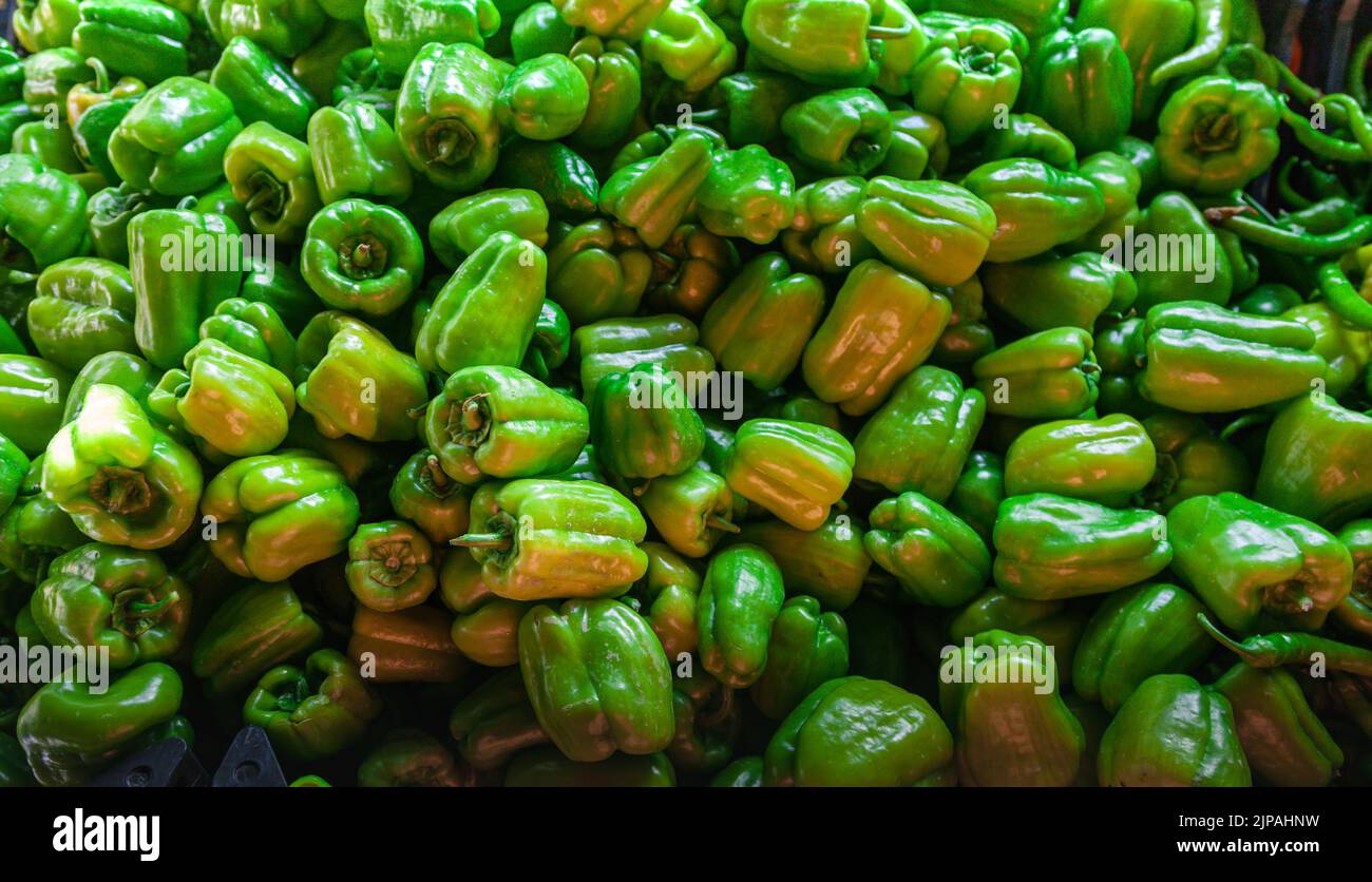 The pile of green bell peppers or green capsicums. Green peppers at a ...
