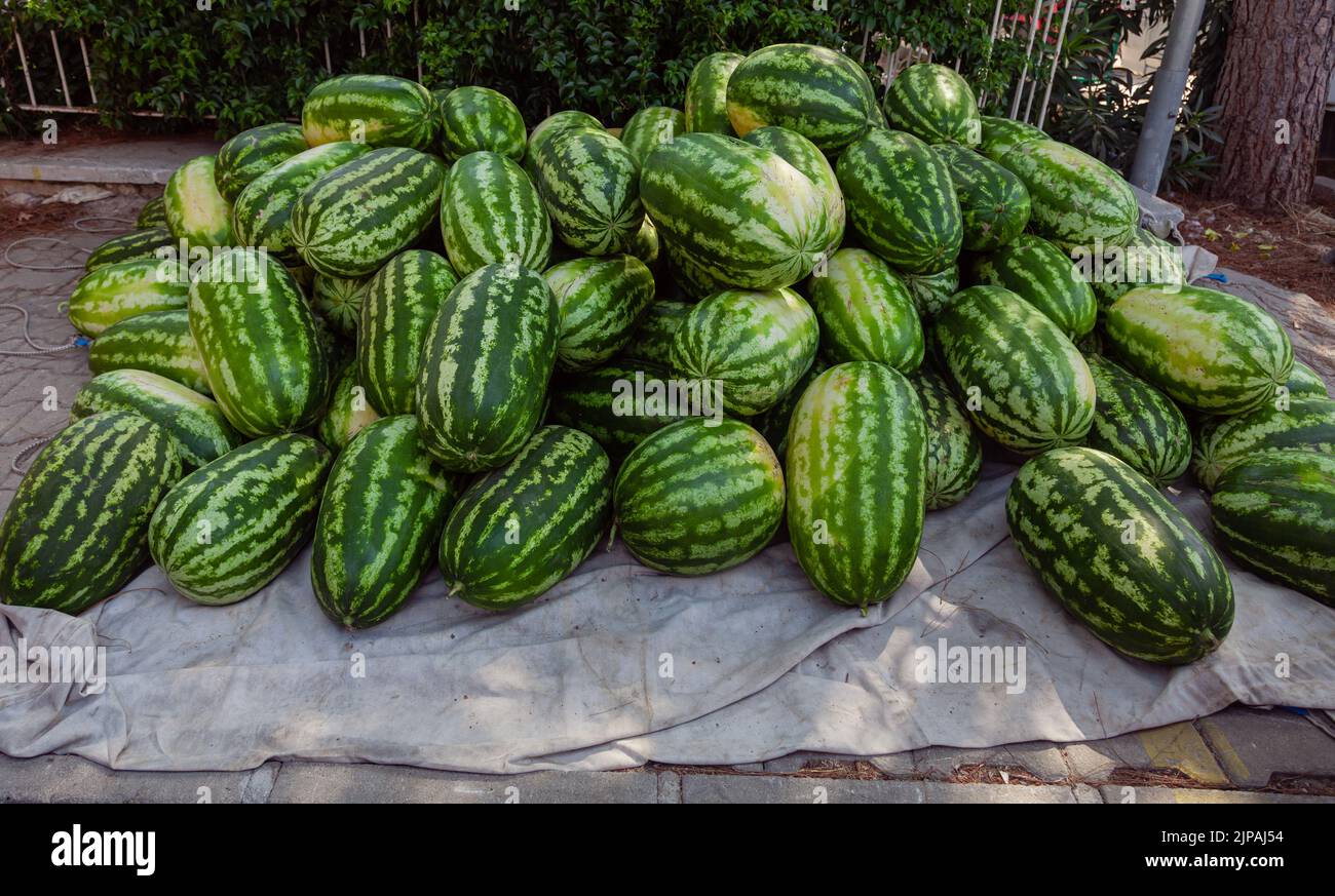 Close up image farmers hi-res stock photography and images - Alamy