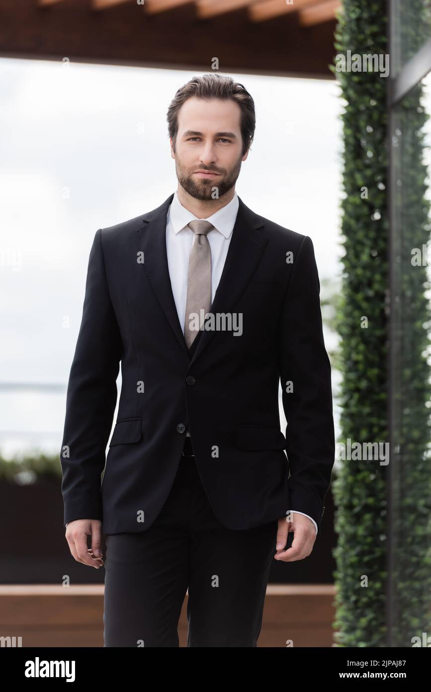 Bearded groom in suit looking at camera on terrace of restaurant Stock ...