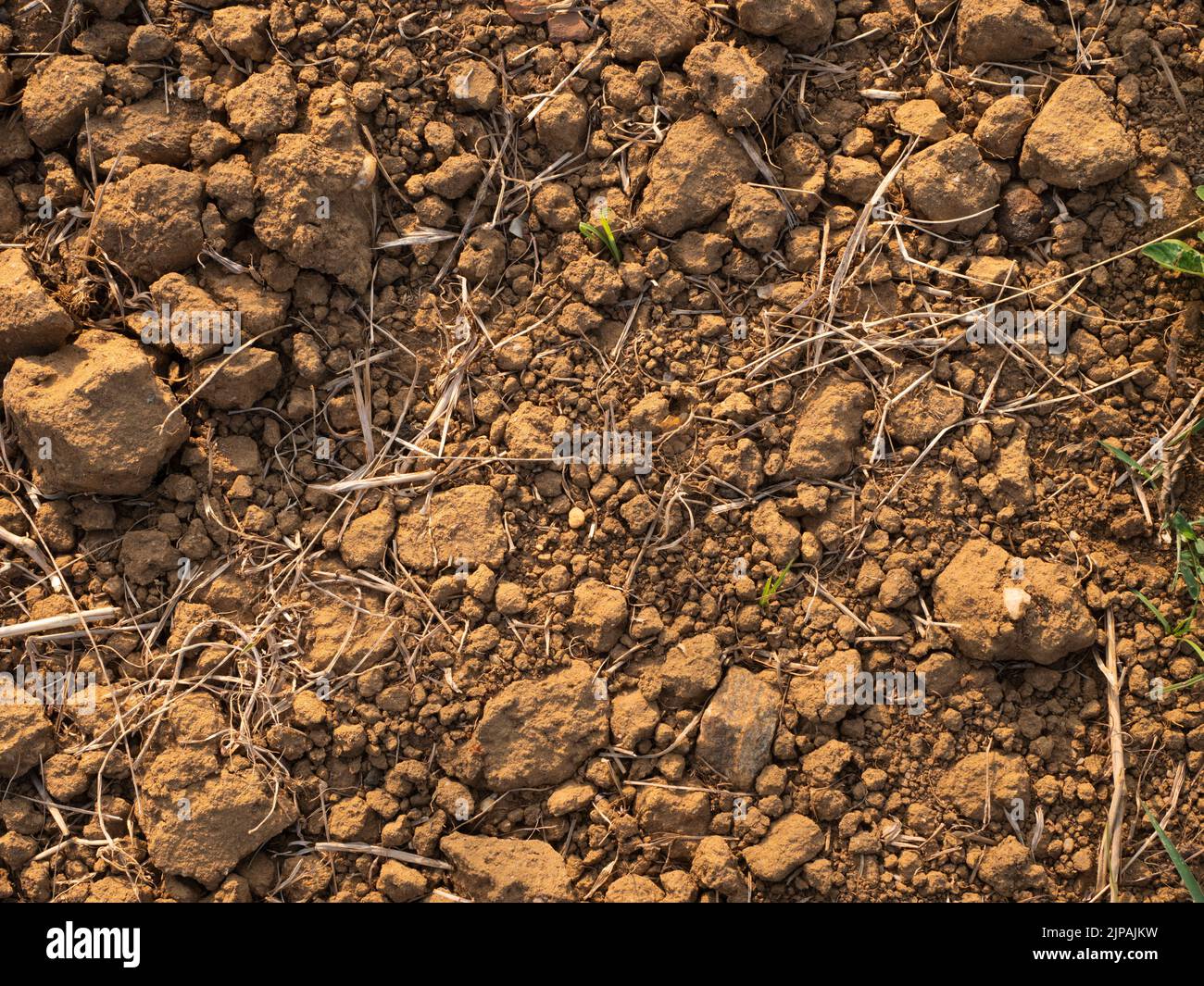 Close-up of Soil Background in Agriculture Lan Stock Photo - Alamy