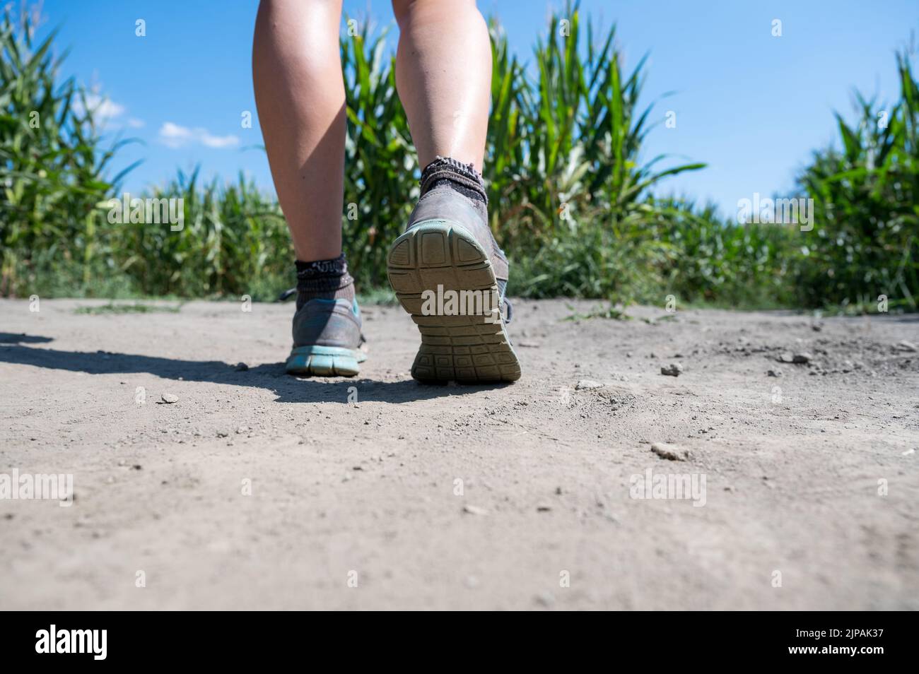 Low angle view of female legs standing on the crossroads in the middle ...