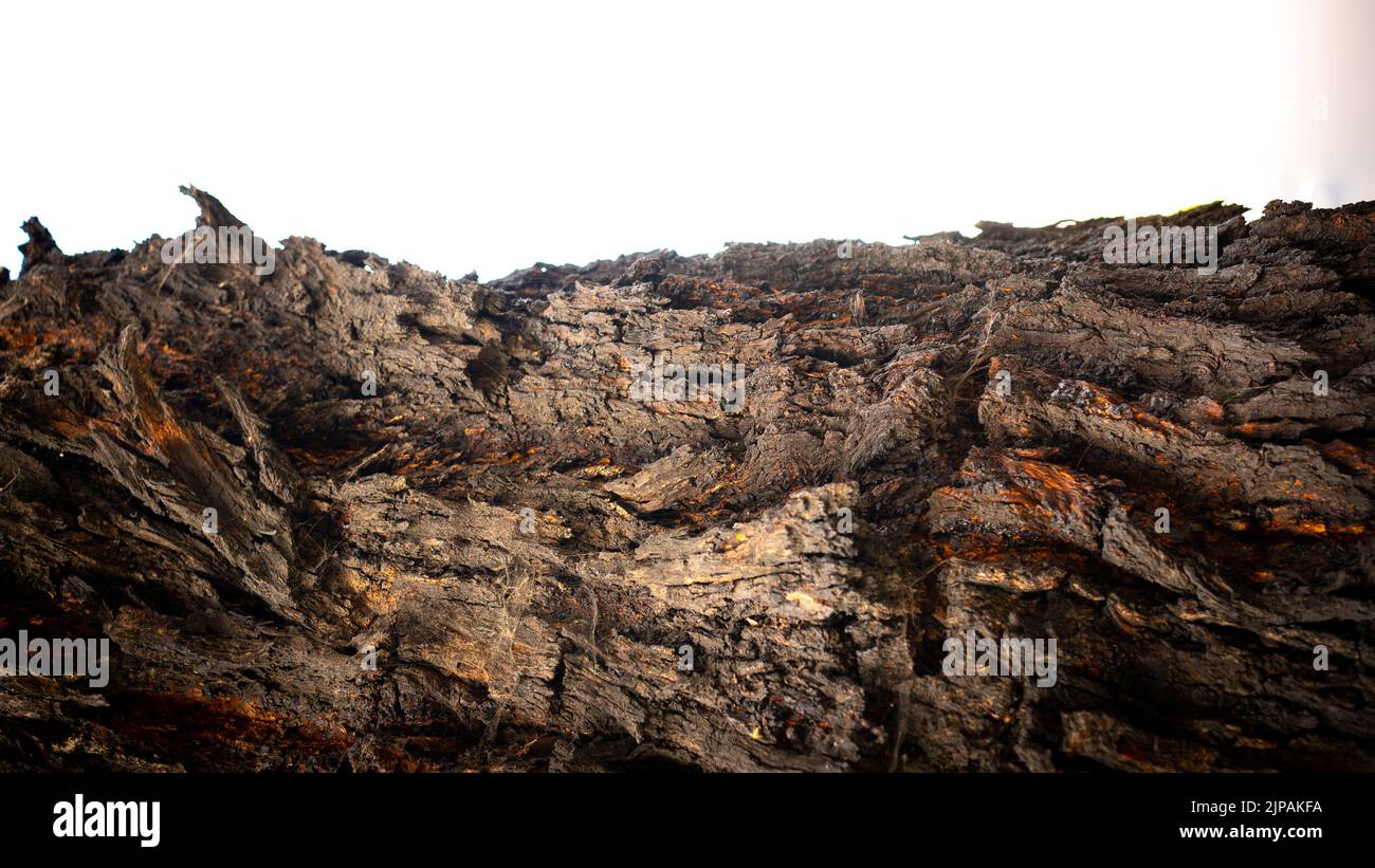 A close-up shot of rough cliff texture in the daytime Stock Photo - Alamy