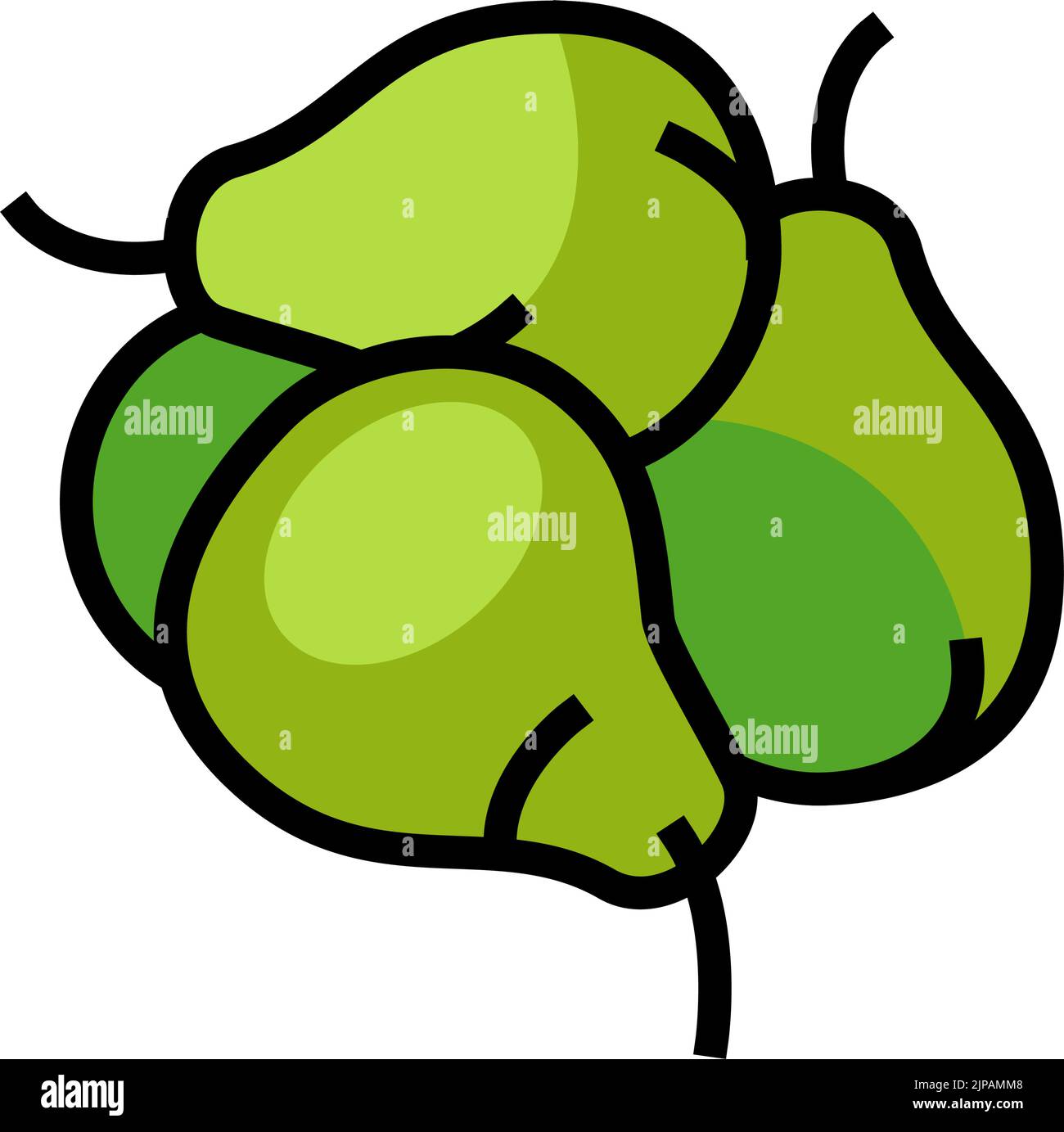 bunch pears color icon vector illustration Stock Vector Image & Art - Alamy