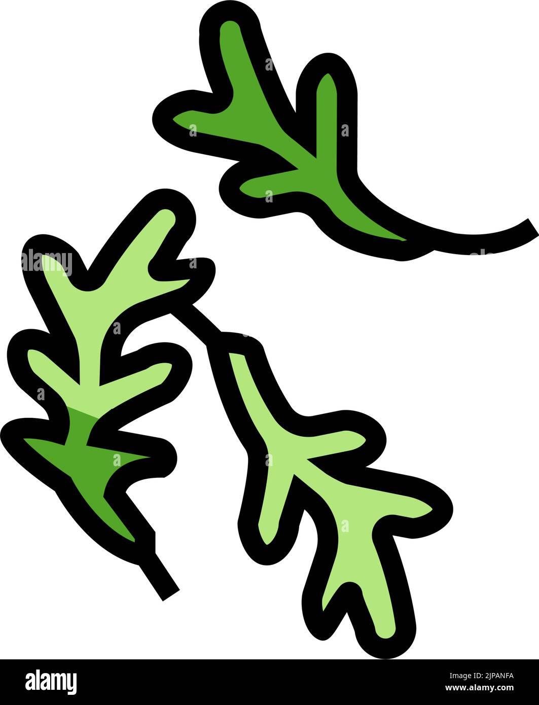 arugula slice food cut color icon vector illustration Stock Vector ...