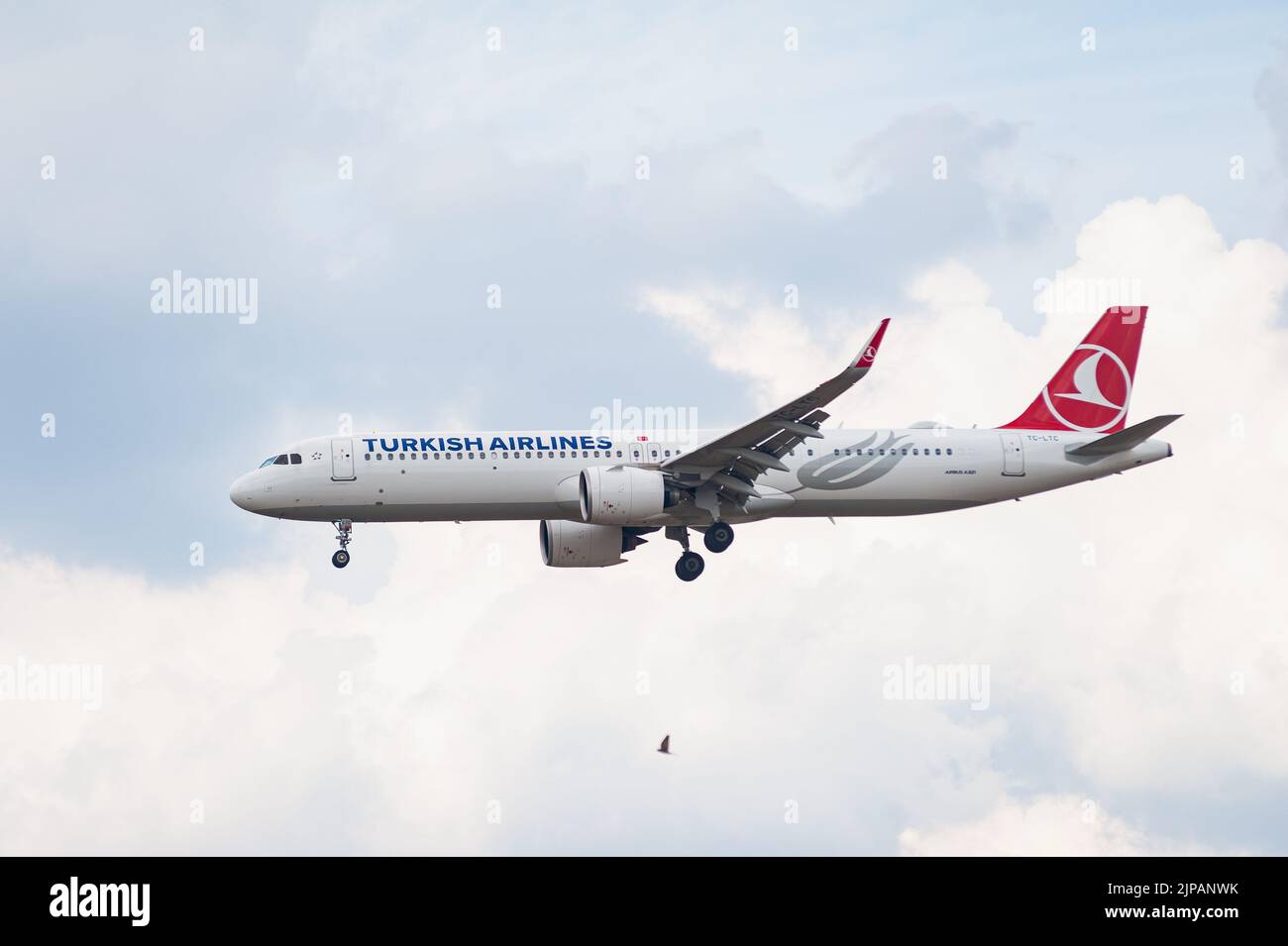 31.07.2022, Berlin, Germany, Europe - A Turkish Airlines Airbus A321 ...