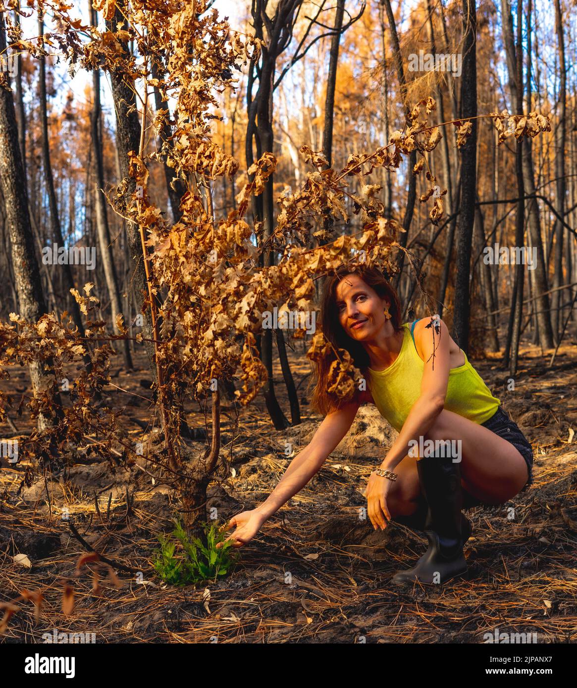 Wood burning in small outdoor hi-res stock photography and images - Alamy