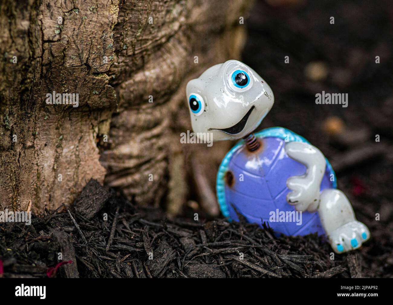 A closeup shot of a small colorful turtle toy in the muddy ground near ...