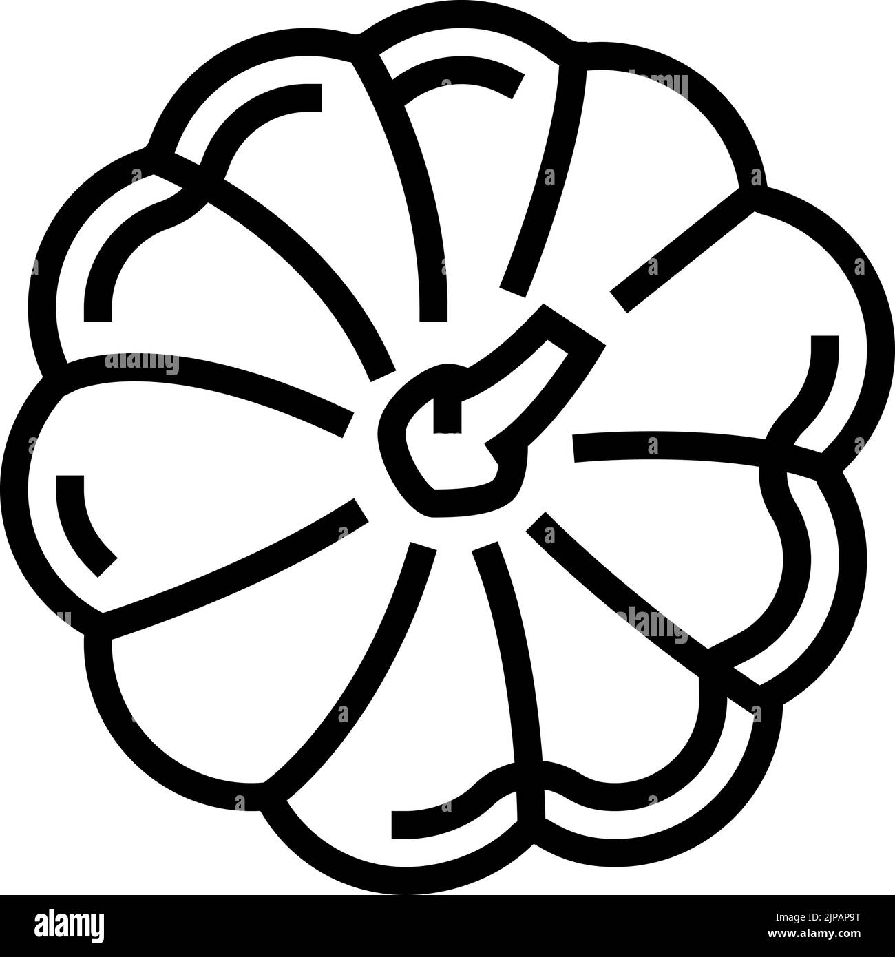 pumpkin top view line icon vector illustration Stock Vector Image & Art ...