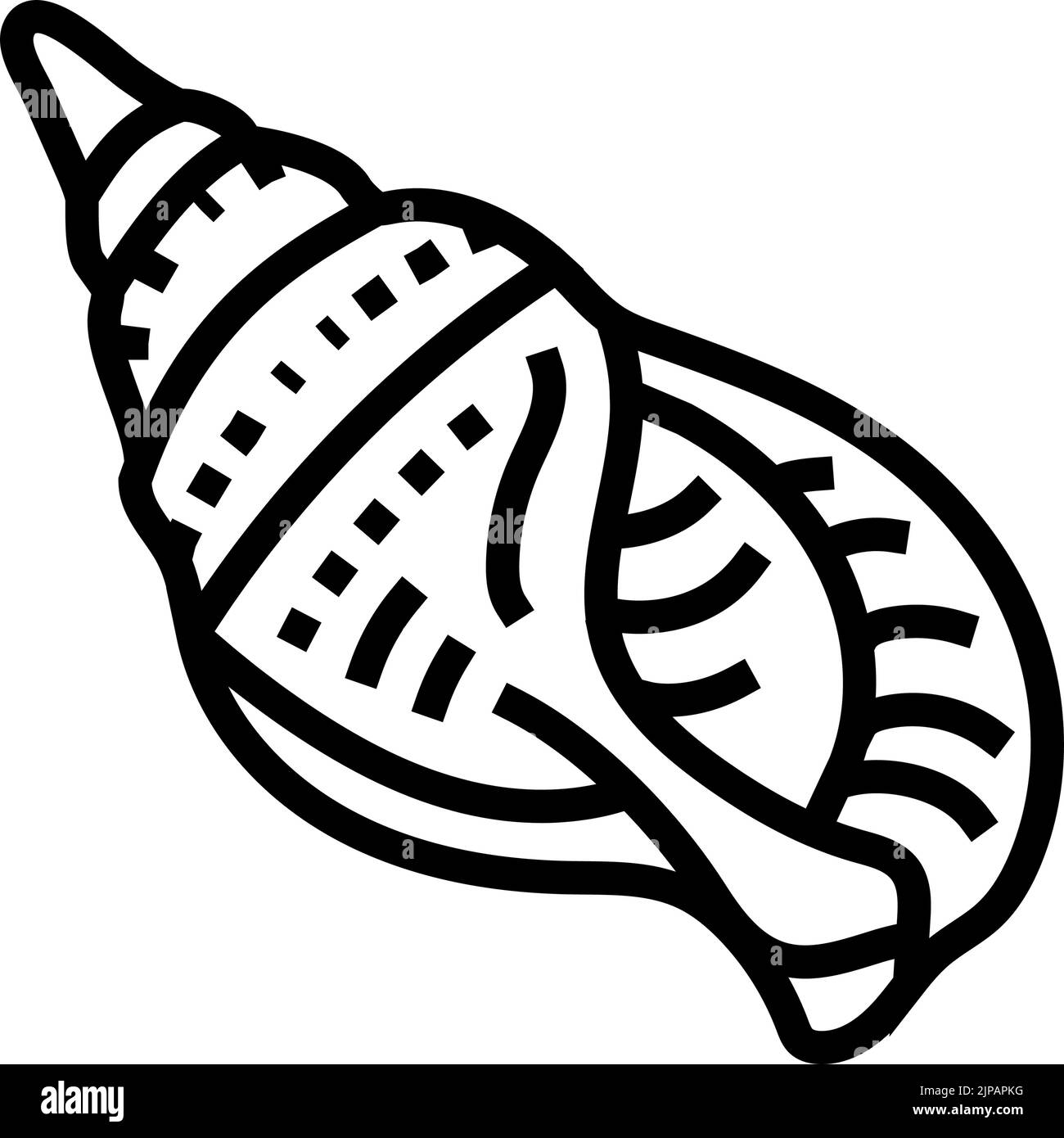 Beach sand pearl clam shell Black and White Stock Photos & Images - Alamy