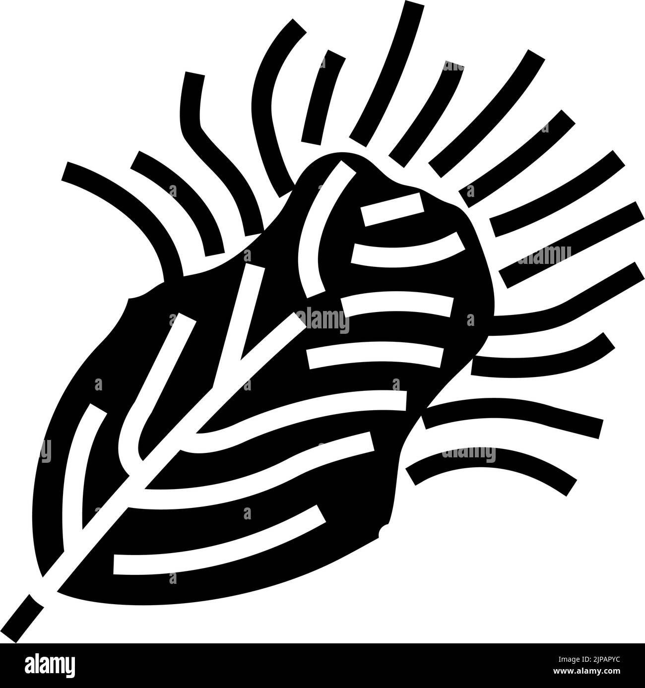 fluffy feather soft glyph icon vector illustration Stock Vector Image ...