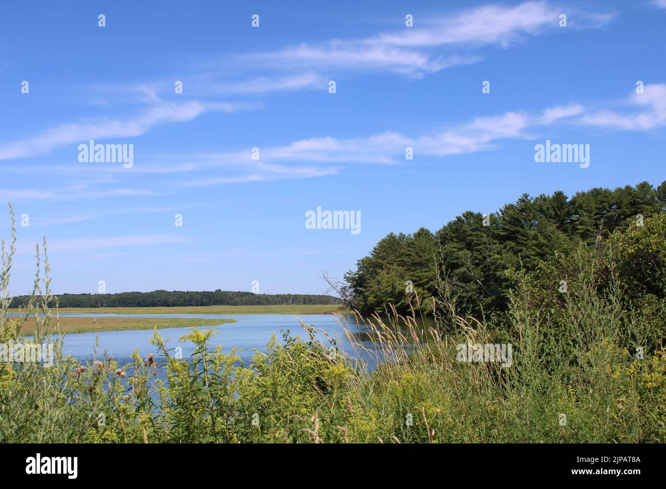 Scarborough Marsh, Maine, Summer, Eastern Trail Stock Photo - Alamy