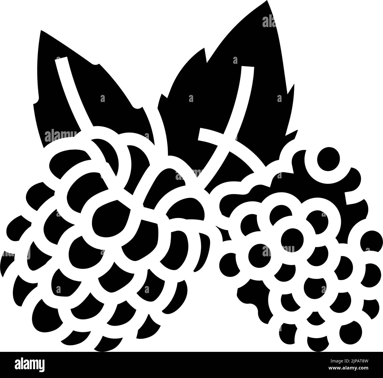 raspberry plant leaf fresh glyph icon vector illustration Stock Vector ...